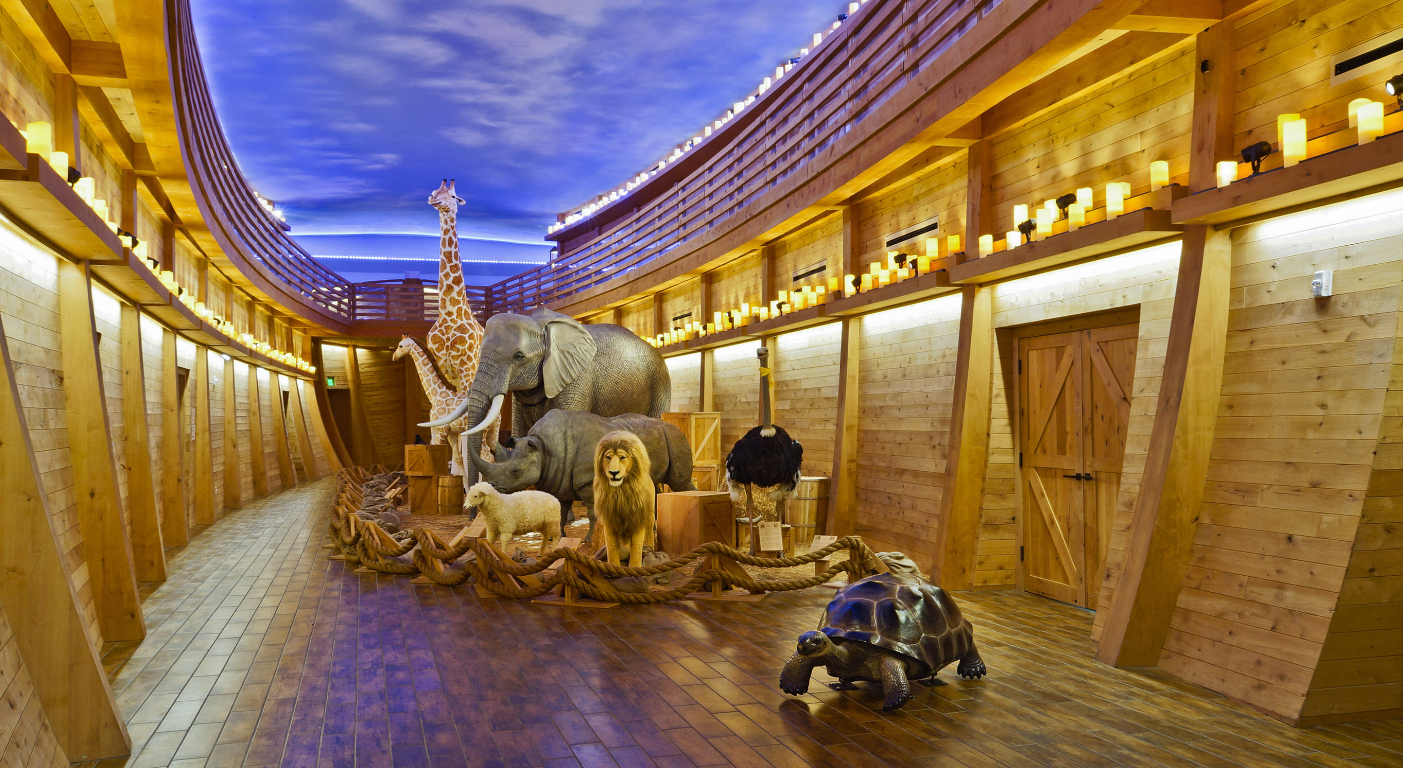 The Ark – Derrick Architects